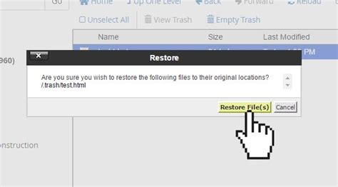 Cpanel File Manager Deleting And Restoring Files And Folder