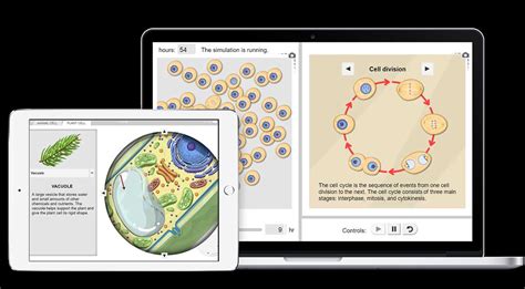 The Ultimate Guide To Understanding Cell Structure Gizmo Uncovering The Answers You Need