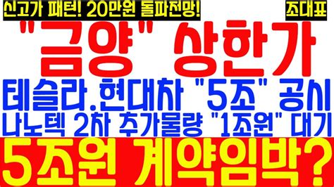 금양 5조원 계약임박 테슬라현대차 불 붙었다 강력 러브콜 미국 본토에 대규모 공장증설 확정적 나노텍 2차 추가