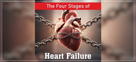 The Four Stages Of Heart Failure Aakash Healthcare