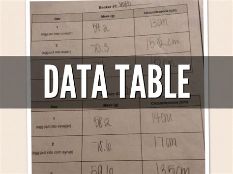 Osmosis Egg Experiment By Jennifer Rodriguez