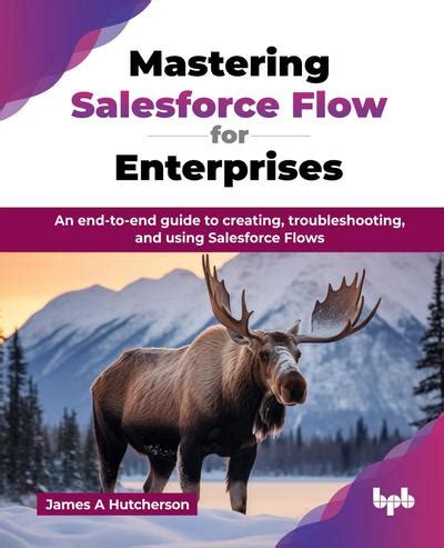 Mastering Salesforce Flow For Enterprises An End To End Guide To