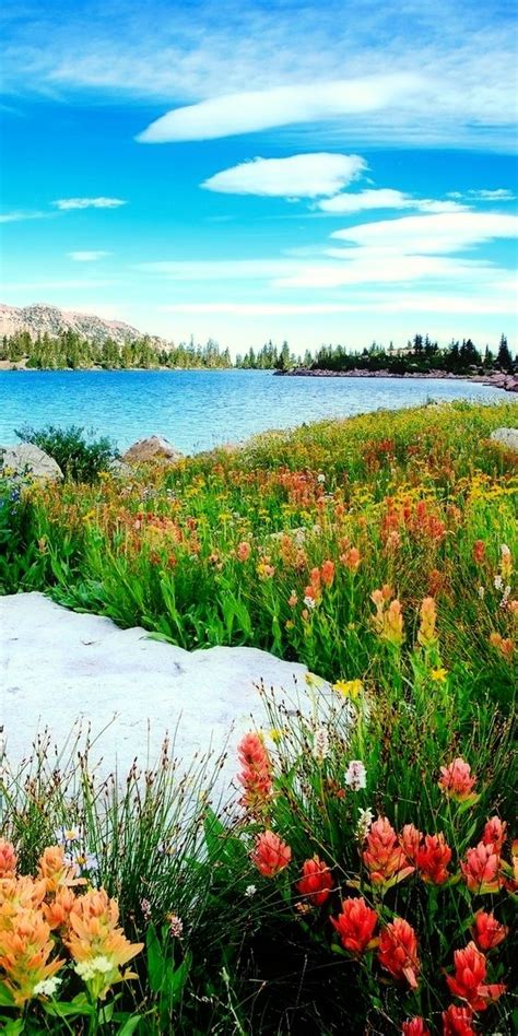 Завантажити шпалери на робочий стіл ПК Природа Озеро Гора Озера Квітка Земля Пейзаж