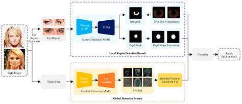 Global Local Facial Fusion Based Gan Generated Fake Face Detection