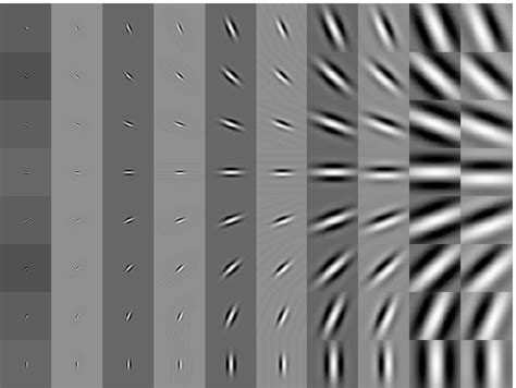 The Wavelet Basis Functions Up To Translations The Basis Functions Download Scientific