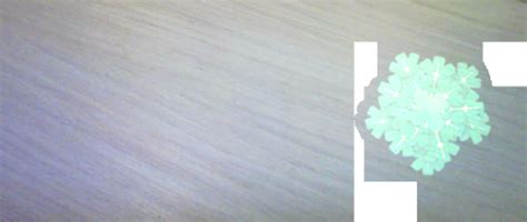 Java Opencv Png Image With Alpha Channel Over Video Issue Stack Overflow