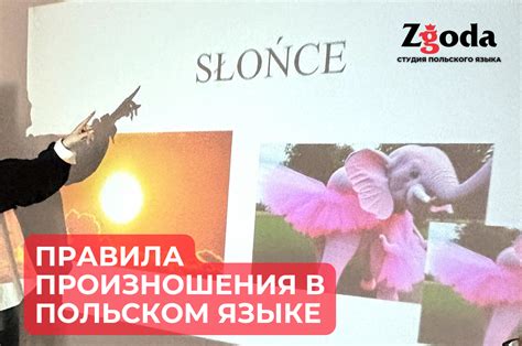 Правила произношения в польском языке Студия Zgoda