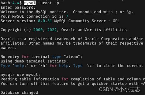 Docker容器内mysql忘记密码如何重置 xzhidada 博客园