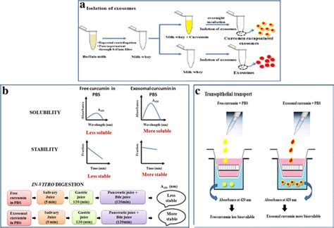Schematic Representation Of The Methodology And Concept Representing A