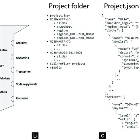 project folder layout a and project json file structure b for a