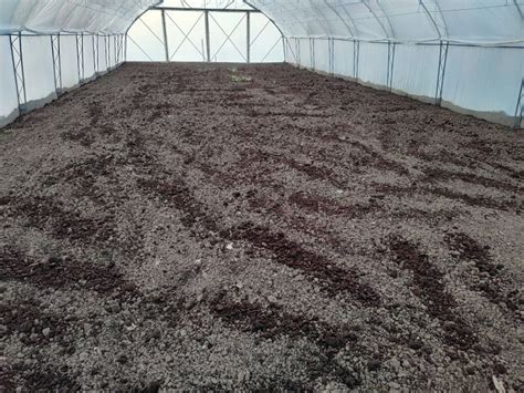 Vermicompost Application Liquid Vermicompost Application Abundance Of
