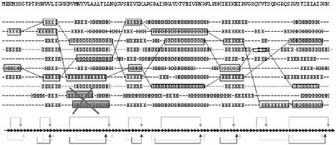 Figure 1 From A Segment Alignment Approach To Protein Comparison