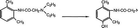 Figure 11 From Role Of Lipids In The Control Of Sex Differences In The