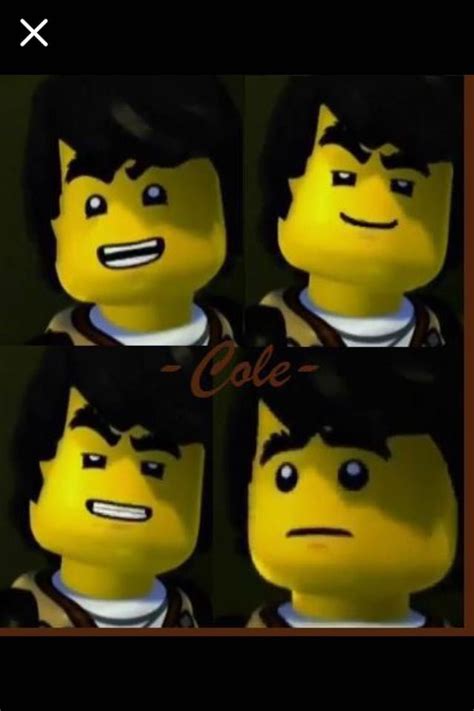 Ninjago Cole X Reader Wattpad