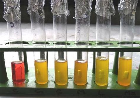 Fermentation Activity Of Isolated E Coli With Five Basic Sugars