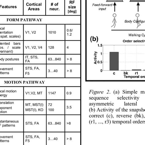 Overview Of The Properties Of The Neural Detectors And Potentially Download Table