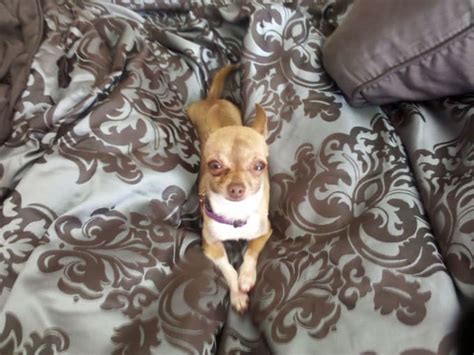 Give You Uncensored No Bs Life Advice By Digthischick Fiverr