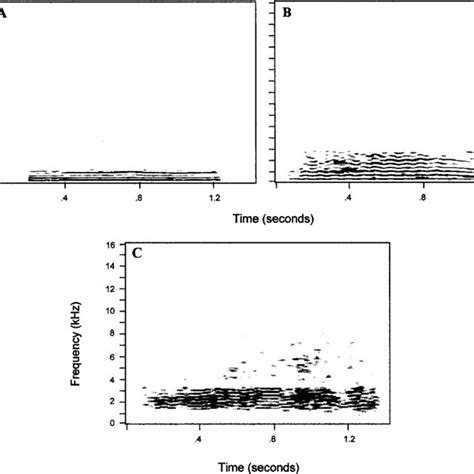 Spectrogram Representing Acoustic Structure Of Rumbles Download Scientific Diagram