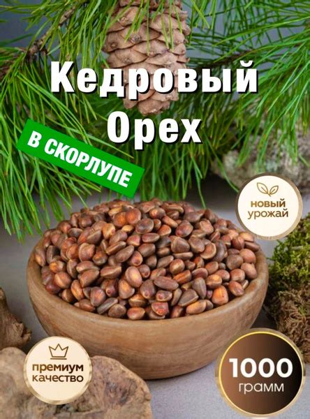 Кедровые орехи неочищенные 1 КГ купить на Ozon по низкой цене 2251797676