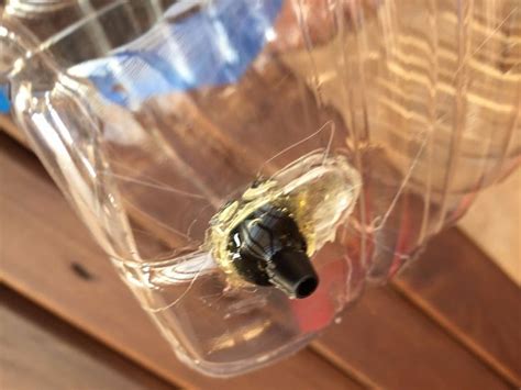 Automatic Gardening System With Nodemcu And Blynk The Iot Remote Electric Lamp