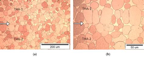 Microstructure And Properties Of Tungsten Heavy Alloy Connections Are Formed During Sintering