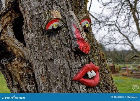 Face In The Tree Editorial Image CartoonDealer Com 27878074