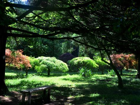 მწვანე კონცხი ბოტანიკო რას სთავაზობს ახალი საცხოვრებელი კომპლექსი