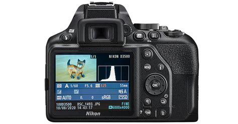 Free Photography Webinar For Beginners