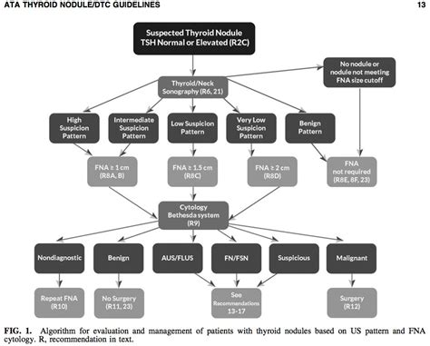 Thyroid Nodule Guidelines