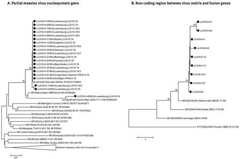 Phylogenetic Tree Based On A 450 Nt Of The Measles Virus Download Scientific Diagram