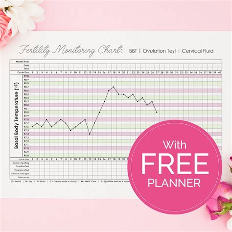 Temperature Chart Etsy