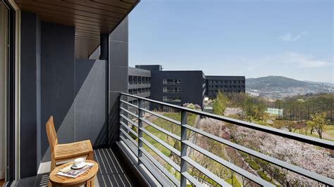 롤링힐스 호텔 호텔 안 벚꽃 나들이 ‘핑크 롤링 이벤트 진행