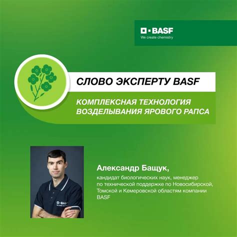 Комплексная технология возделывания ярового рапса