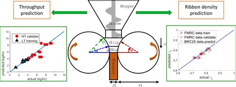 An Evaluation Of The Johanson Model For Roller Compaction Process Development For A High Dose