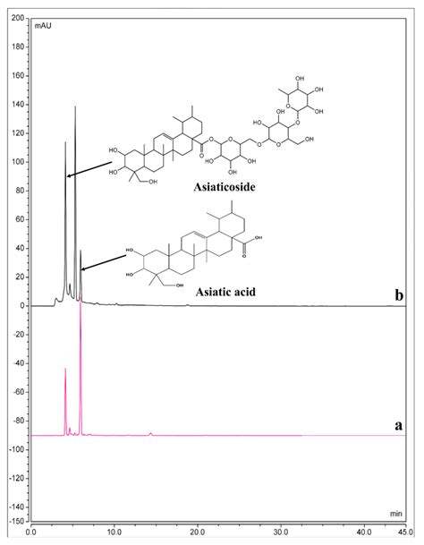 Overlaid Hplc Chromatograph Of A Standard Of Asiaticoside And Asiatic Download Scientific