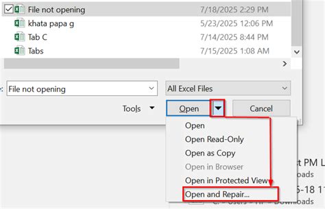 Fixed Cannot Open The File Because The Extension Is Not Valid Excel Insider