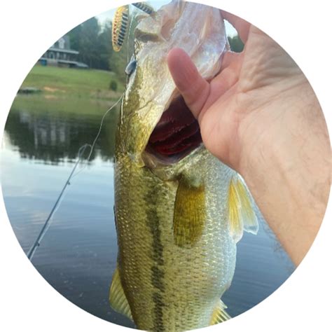 Gone Fishing Map Environmental