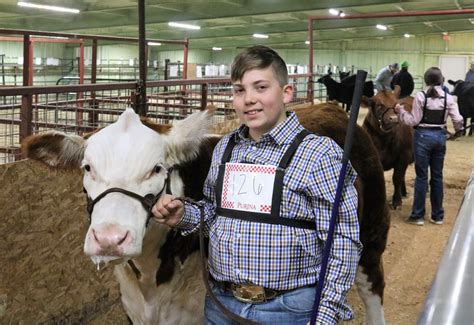 Photos 2021 Erath County Jr Livestock Show Beef Cattle The Flash
