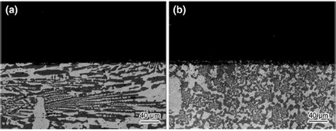 Microstructure And Electrochemical Corrosion Behavior Of Fe Cr System Alloys As Substitutes For