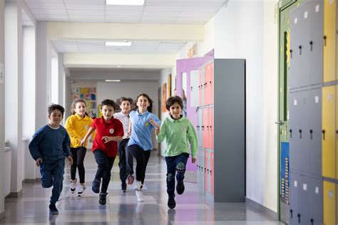 თავისუფალი თავისუფალი უნივერსიტეტის ბიზნესის სკოლა