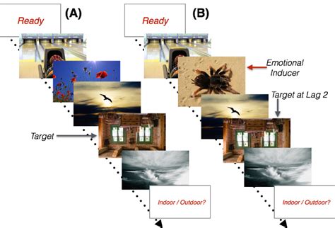 Sustained Visual Attention And The Attentional Blink Paradigm Video