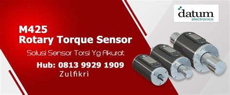 Sensor Torsi SENSORINDO COM Distributor Sensor Berkualitas Di Indonesia