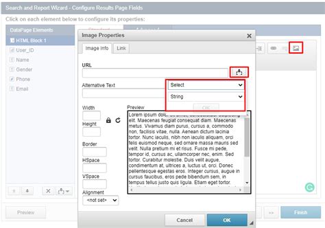 Problem With Image Not Showing Caspio Bridge Error Datapages