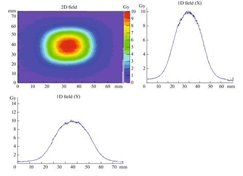 Dosimetric Field Verification Using A Gafchromic Ebt3 Radiochromic Download Scientific Diagram