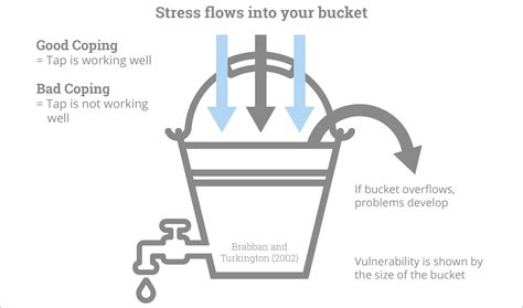 Diagram Of Stress Vulnerability Model Navigating The Stresst