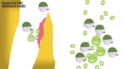 Psoriasis And Candida