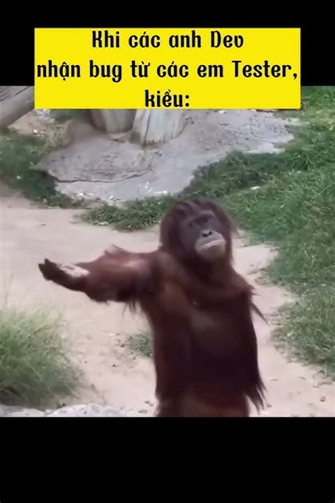 thái độ vui vẻ khi các anh dev nhận bug từ tester youtube