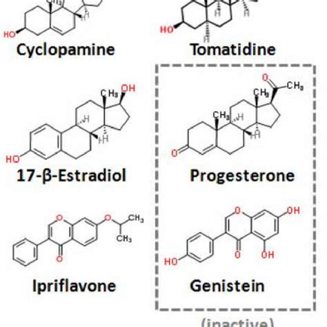 2d Chemical Structures Download Scientific Diagram