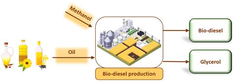 Biodiesel Production Techinservice Construction Of Turnkey Plants