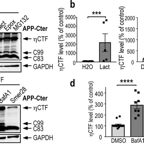 ηctf Fragment Is Localized In Golgi And Endosomes A D Hela Cells Were Download Scientific